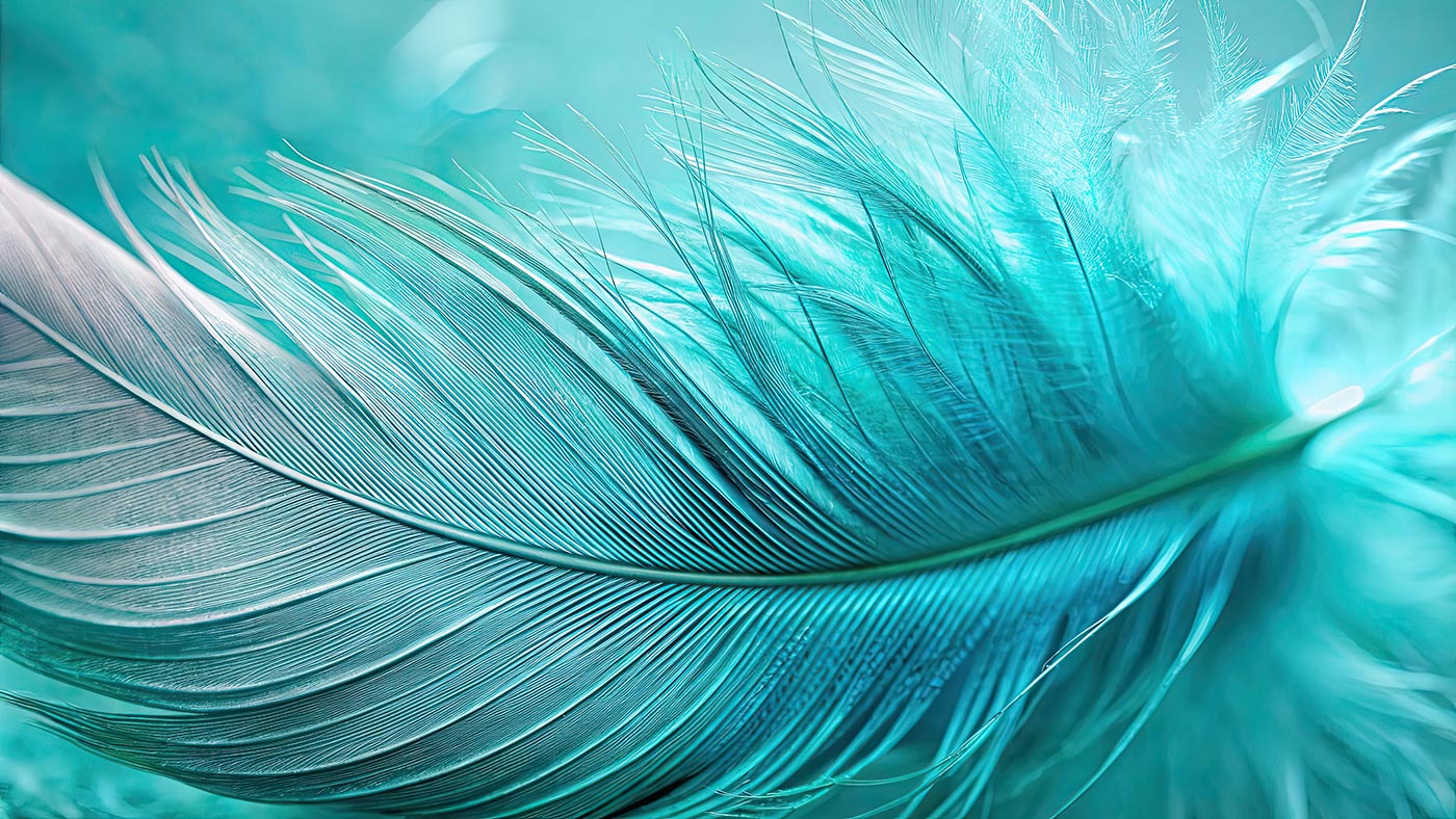 Embracing Your Authentic Self - Embrace the Sacred Journey